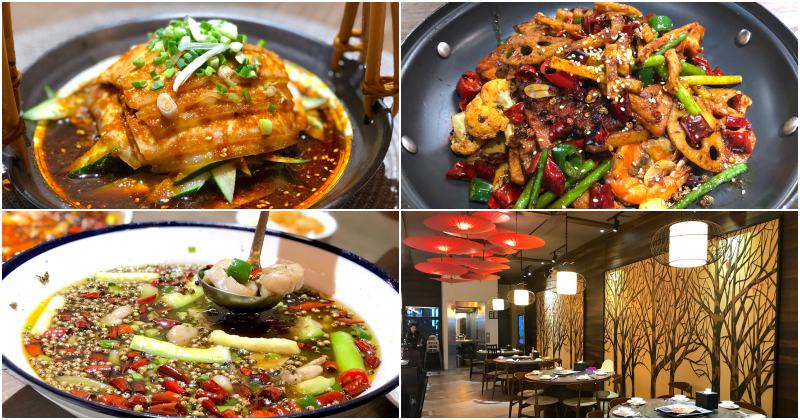 Chengdu Restaurant Singapore - Authentic Sichuan Cuisine At Amoy Street ...